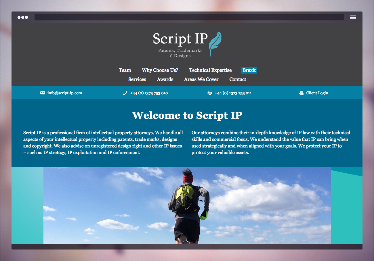 Script IP - project detail